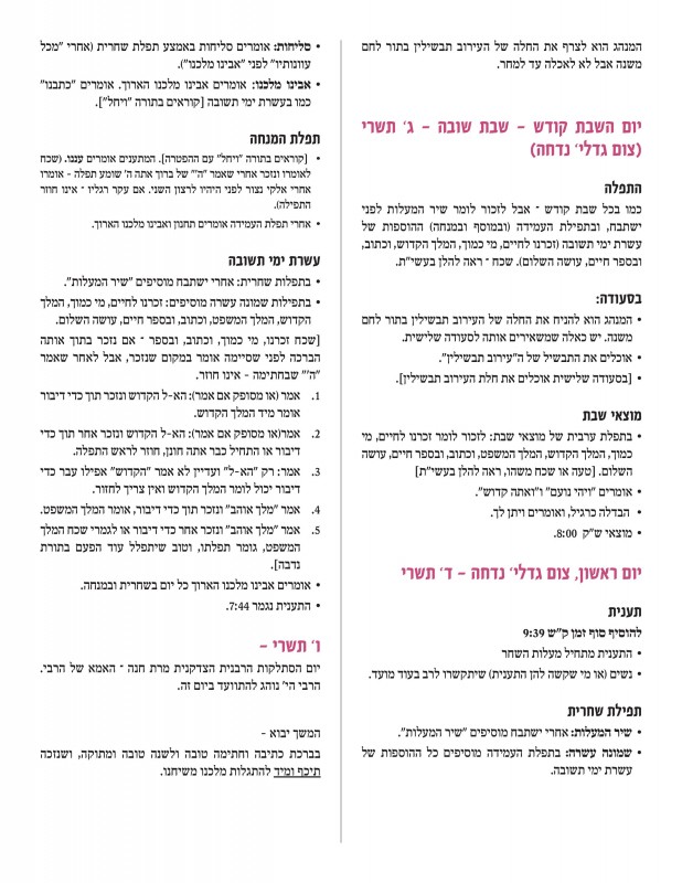Laws and Customs: Rosh Hashana and the Aseres Yemei Teshuva ...