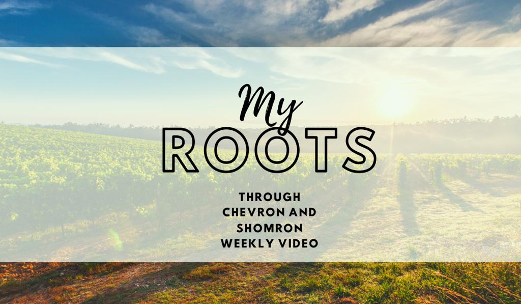 “My Roots” – An Off The Beaten Path Tour Through Chevron and Shomron ...