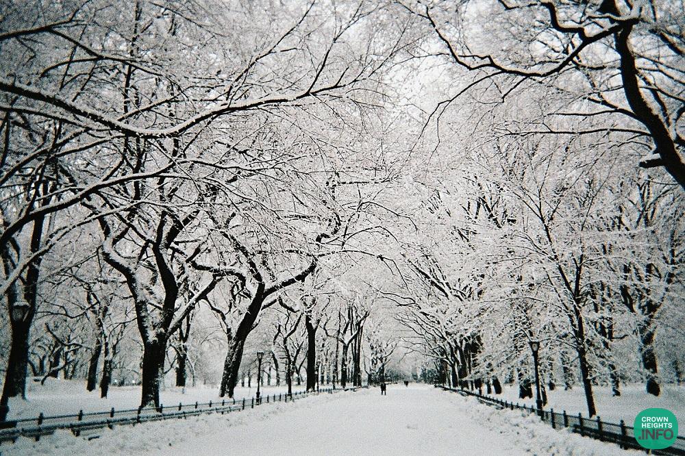 First Snowfall of The Season Heading To New York | CrownHeights.info ...