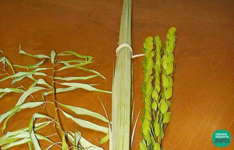 Jewish Observance Under Threat In Canada Again As Country Continues Ban ...