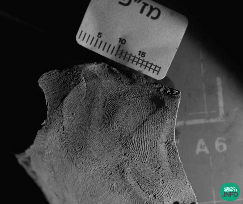 1,500-Year-Old Fingerprints Lifted At Archeological Dig Site ...