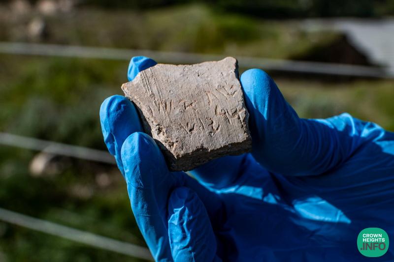 Rare Inscription Bearing the Name of King Darius the Great, the Father ...