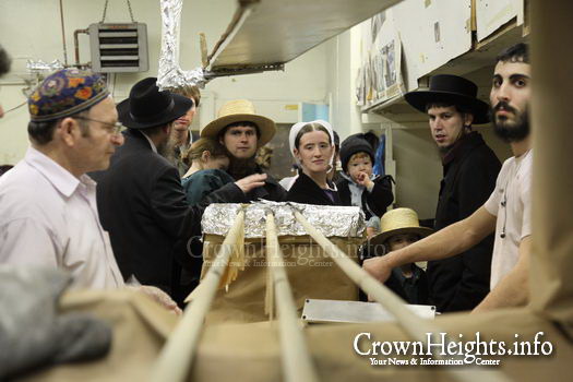 When the ‘Aimish’ meet the ‘Heimish’ | CrownHeights.info – Chabad News ...